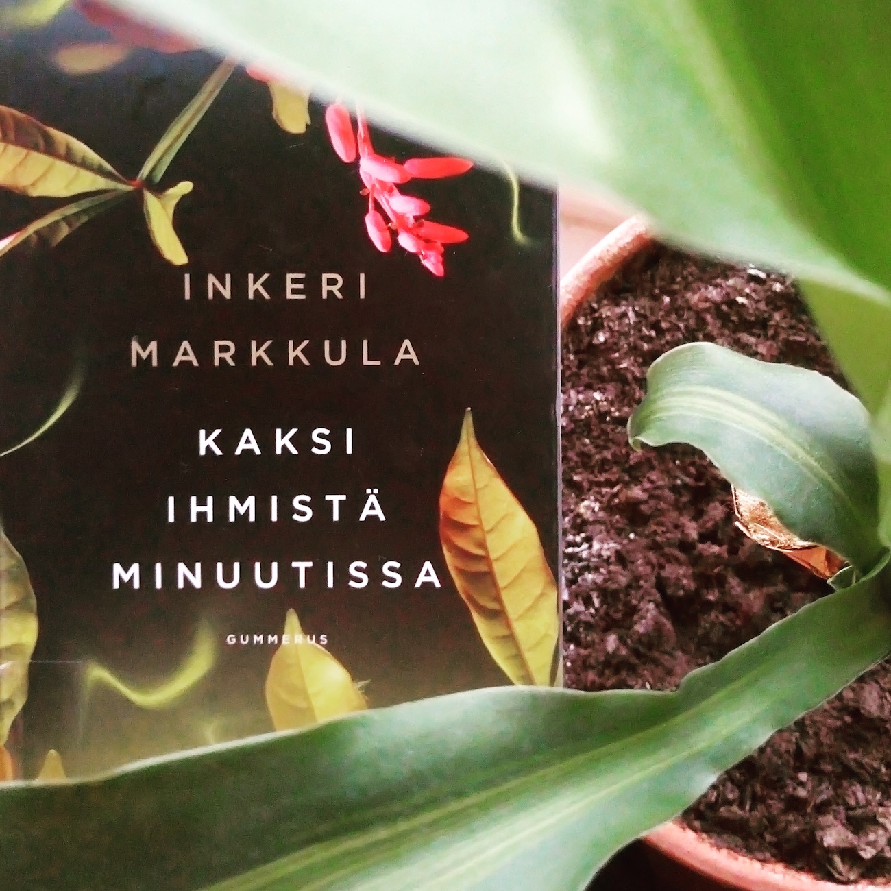 Eniten minua kiinnostaa tie: Inkeri Markkula: Kaksi ihmistä minuutissa