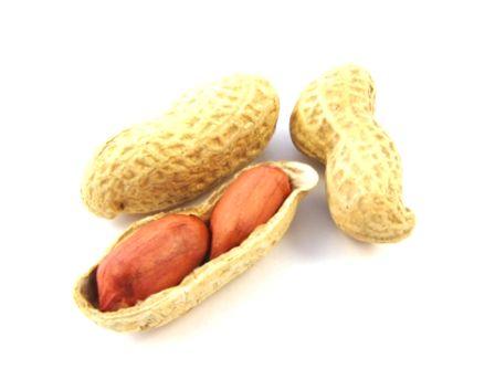 les plantes médicinales du Sahara: les vertus de l'Arachide (Arachis ...