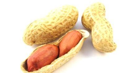 les plantes médicinales du Sahara: les vertus de l'Arachide (Arachis ...