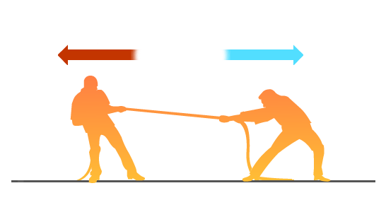 Richard's Physics Blog: Static Equilibrium