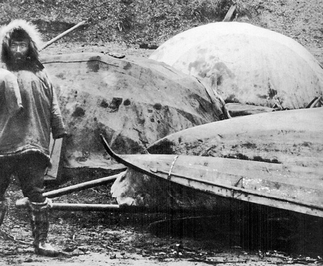 Pueblos en el hielo: INUIT DEL DELTA DEL MACKENZIE (Inuvialuit)