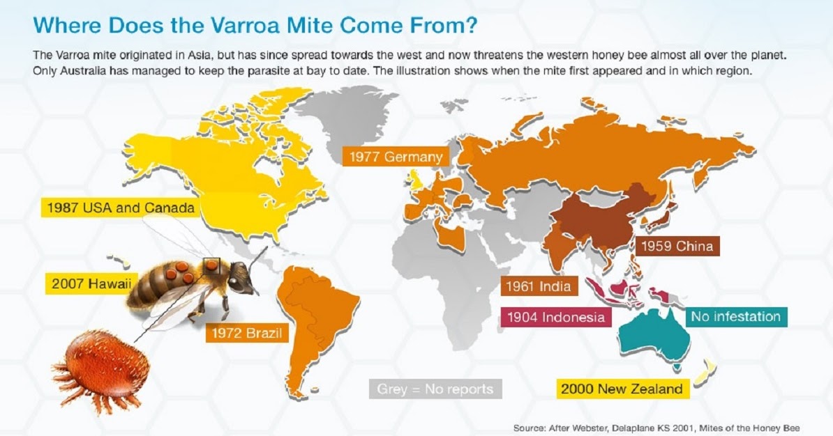 La Familia de la Apicultura - The Beekeeping Family: Avance del ácaro ...