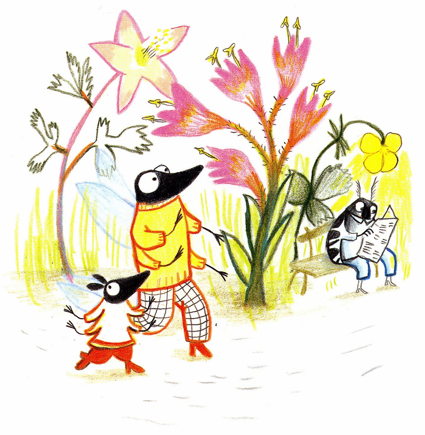 A thing of beauty is a joy forever: Kitty Crowther