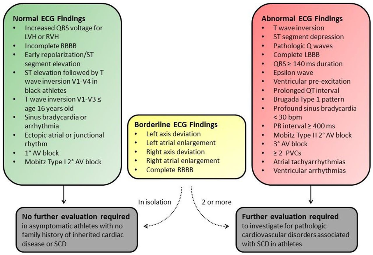 International recommendations for electrocardiographic interpretation ...