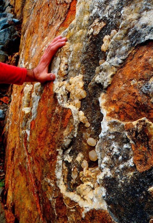 In Search of Slumach: They found it