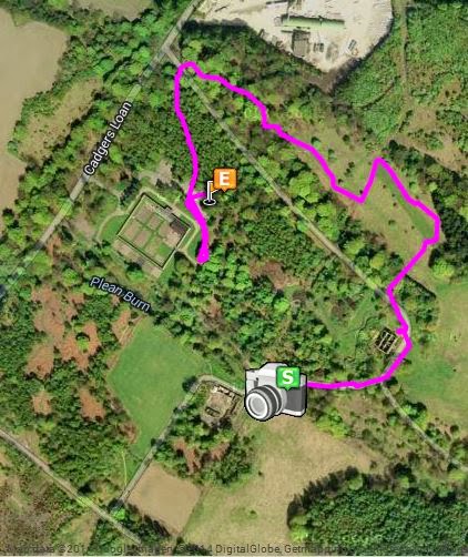 My Daily Walk: Plean Country Park