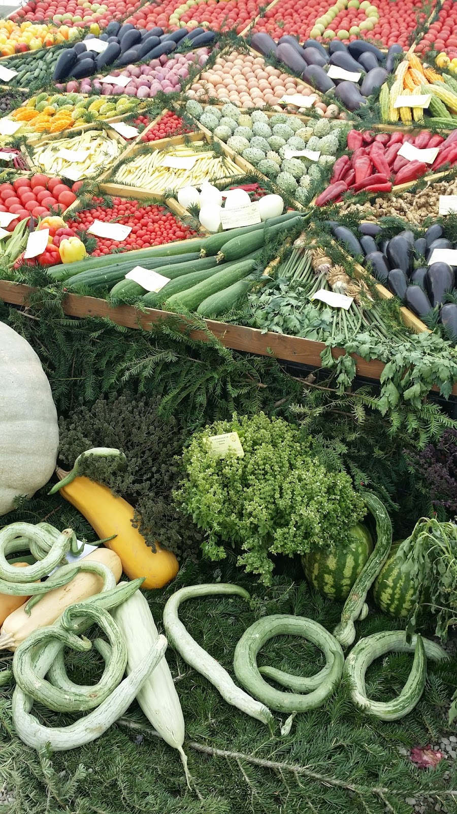 Legume exotice cultivate în România