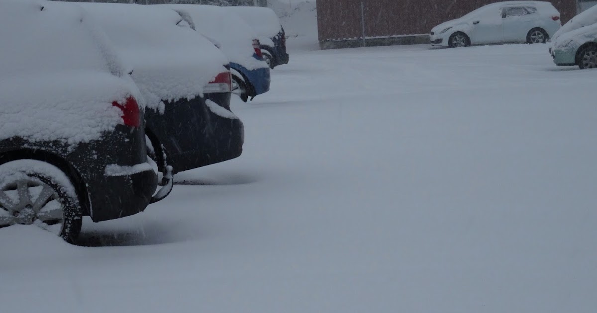 ANNEN LUONTOPÄIVÄKIRJA nature diary: LUMI snow