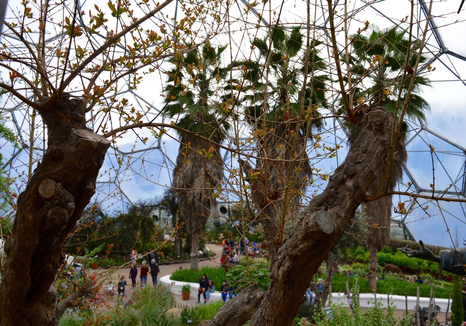 10 Reasons to Visit the Eden Project in Winter | North East Family Fun