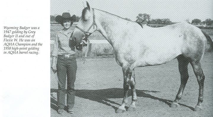 New models: Special Run 1998 "Stud Spider", "Grey Badger II"