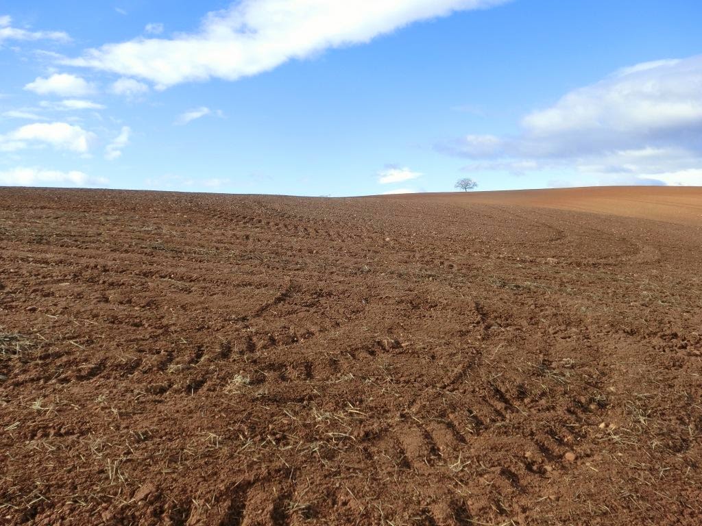 Todo a cien... (o a menos): Despertando