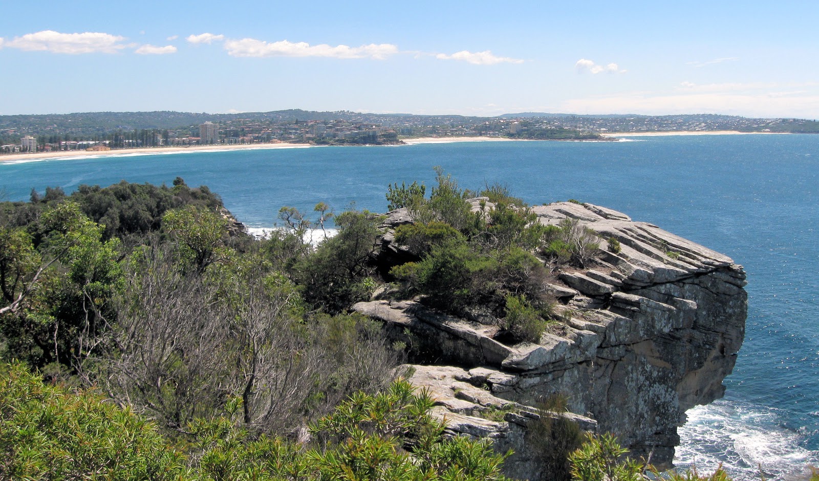 North Head to Shelly Beach | Our Walks