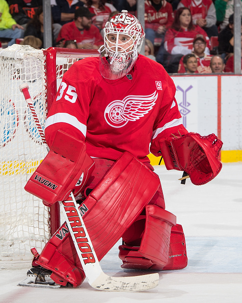 I Love Goalies!: Jimmy Howard 2016-17 Mask