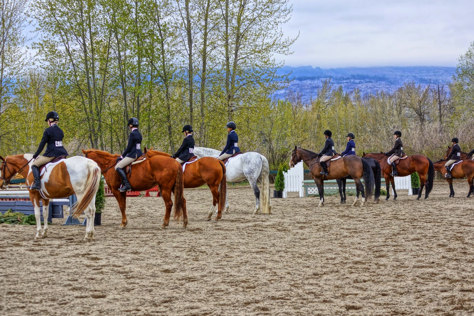 Equi-Life News