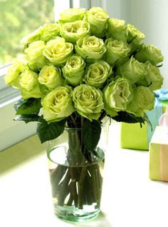 Allinallwalls : Most beautiful green roses in the world, green flowers ...