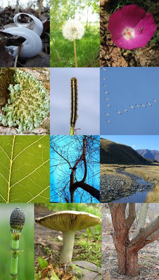 Hugging Biodiversity: 10 fun things to do with kids on a nature trail