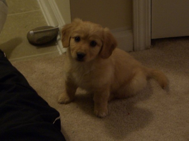 Watch out for the forks.: A tribute to Riley.