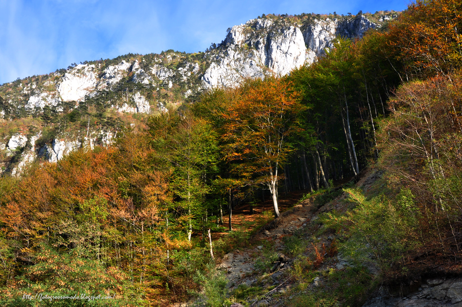 In linii mari: Imagini de toamna