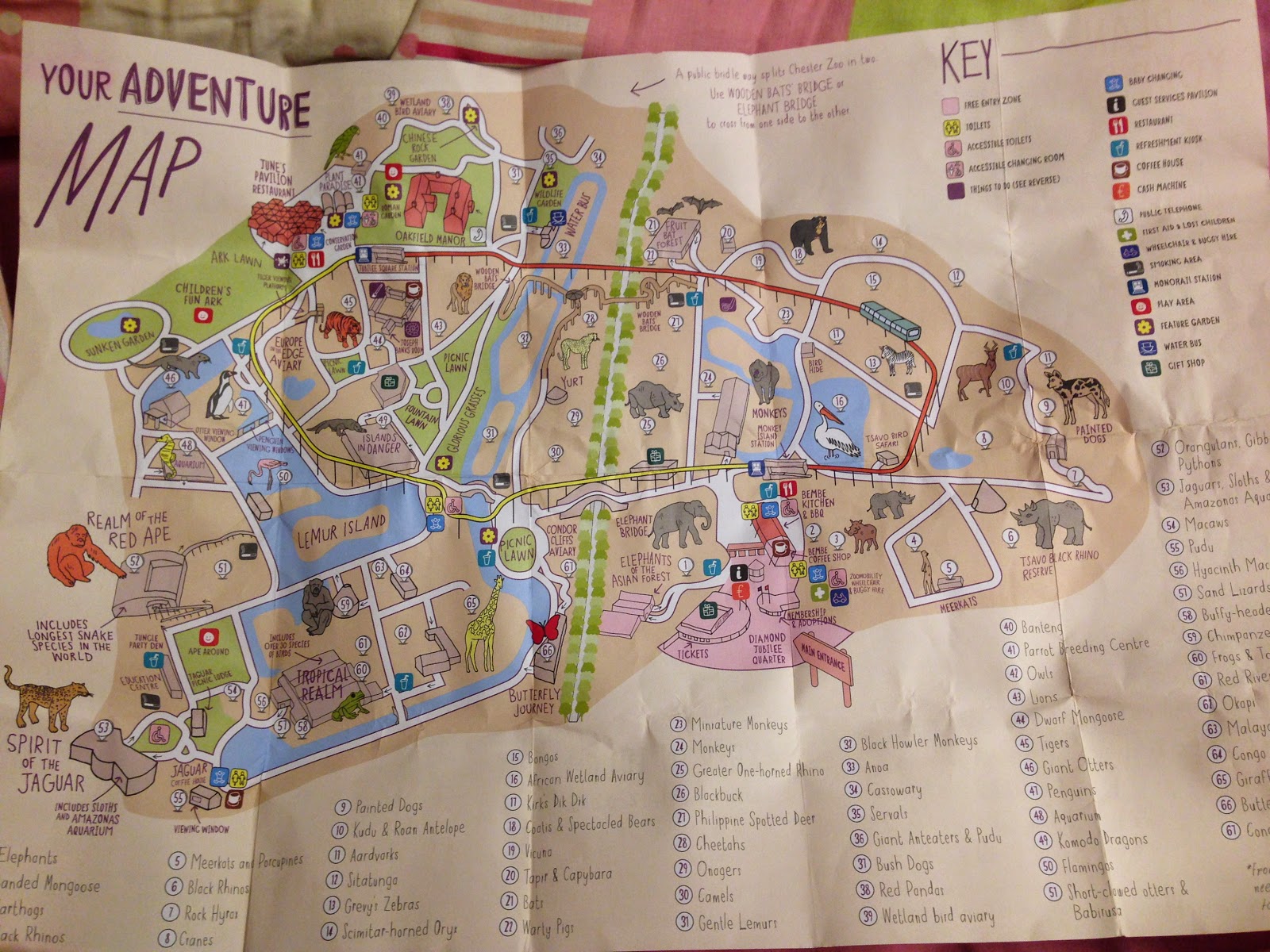 Kate Burns: Chester Zoo