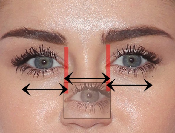 Creating a Database for Wide-Close-Normal Eyes