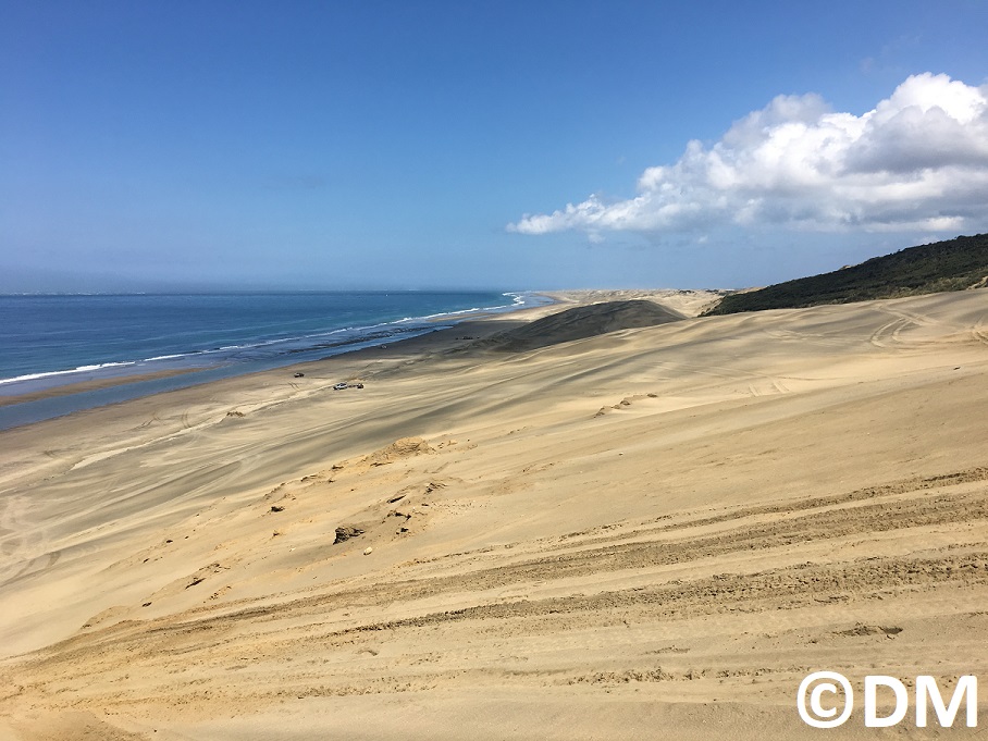 Vivre Auckland: Pouto Point, son phare et la plus longue plage routière ...