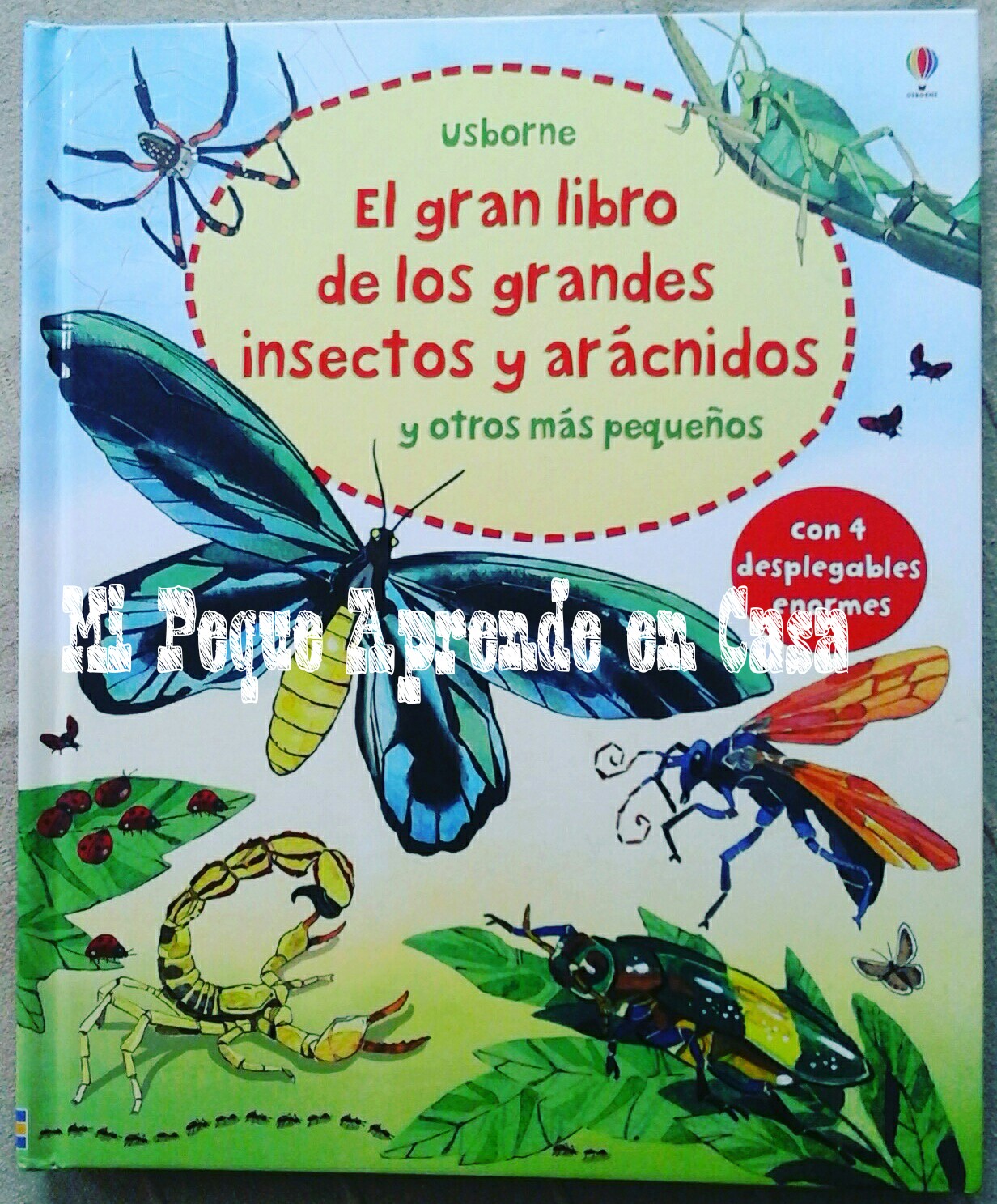 Mi Peque Aprende en Casa: Hoy Leemos ... El Gran libro de los grandes ...