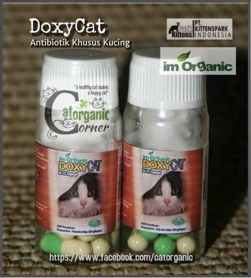 Catorganic Corner: DoxyCat (Obat)