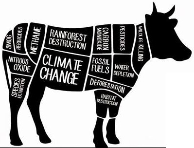 Environmental impacts as a byproduct of the Meat Industry