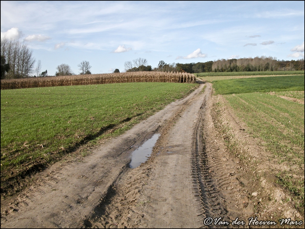 Landelijk Aaigem: Wandeling naar Ressegembos