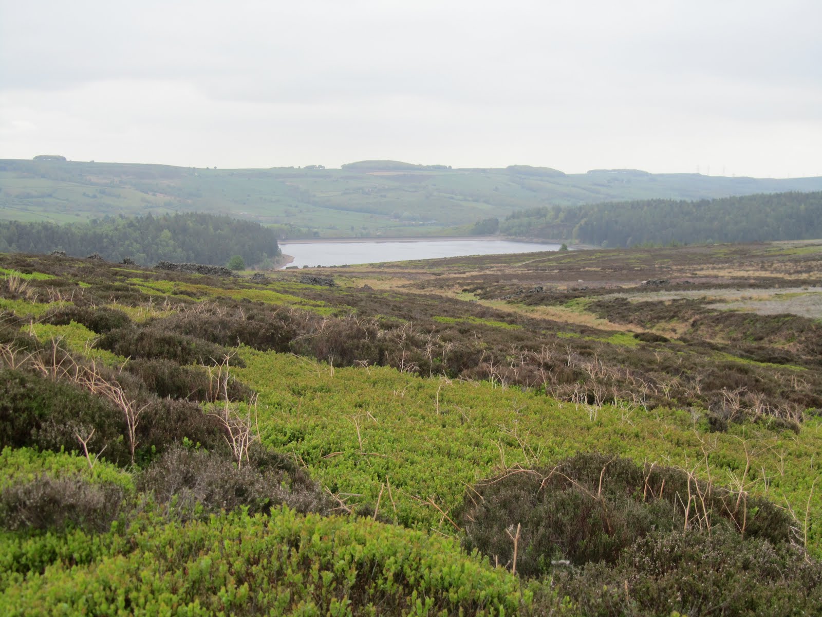 Little Sealed Packages: Plagioclimax