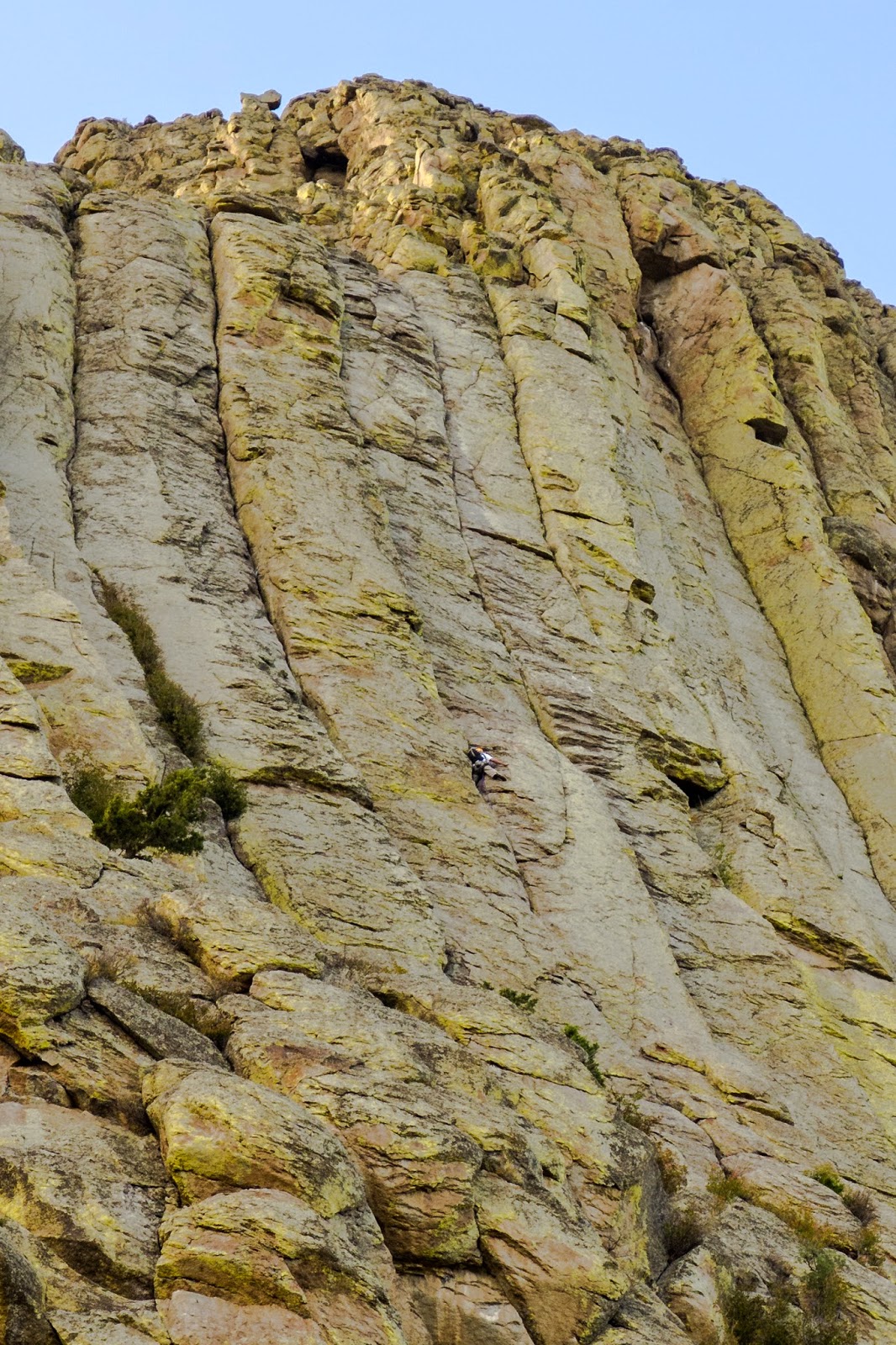 Falcon Flight Path: Mato Tipila, aka Devils Tower