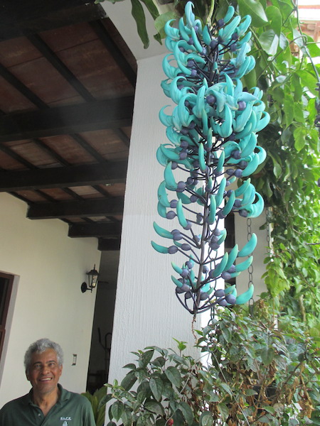 Gardens at Waters East: Guatemala Flowers - just a few