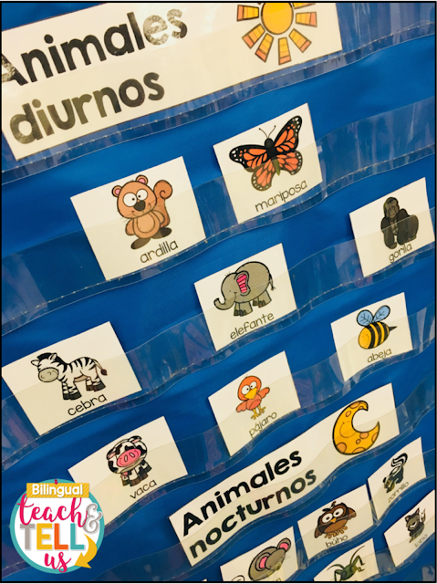 Animales nocturnos - Teach and Tell Us