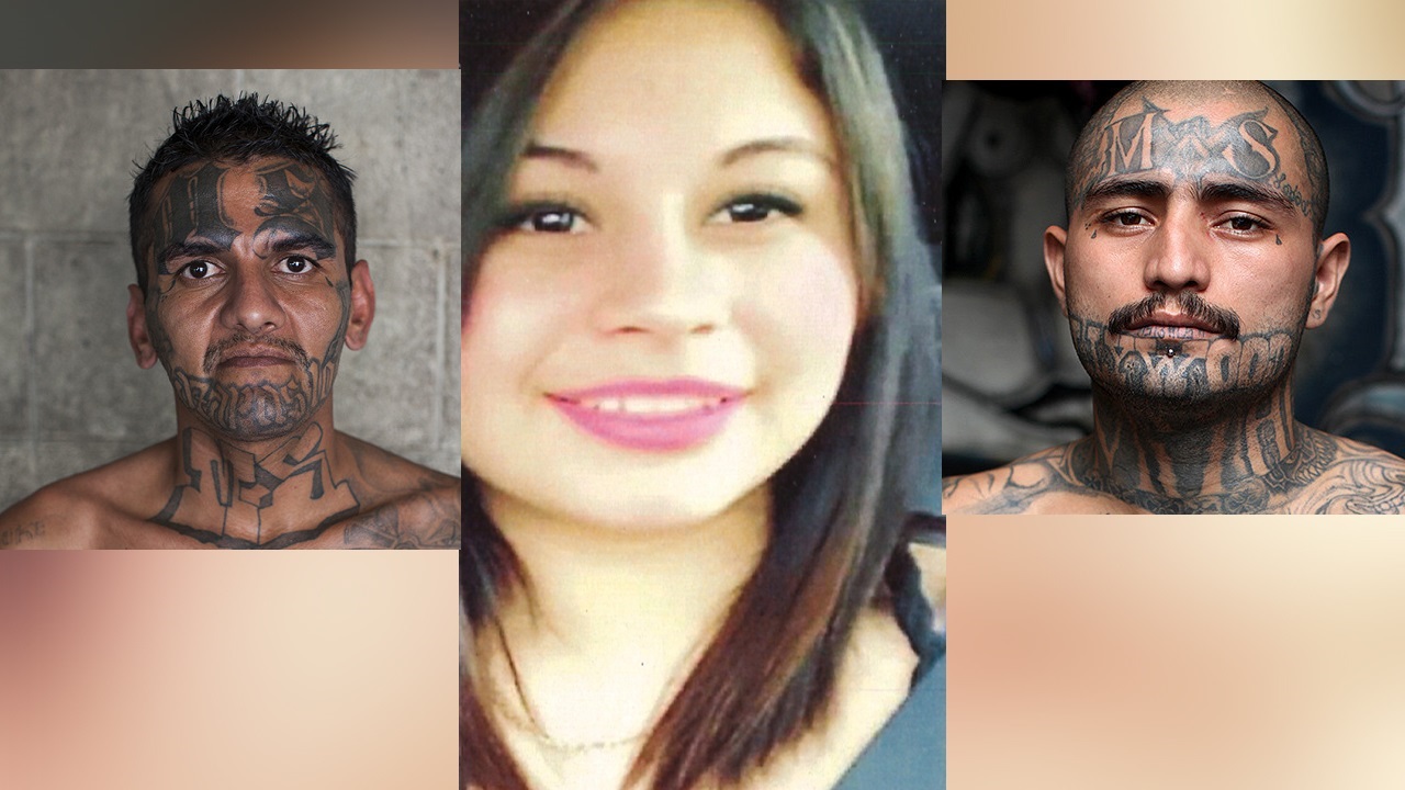 Damaris Reyes's Instagram, Twitter & Facebook on IDCrawl