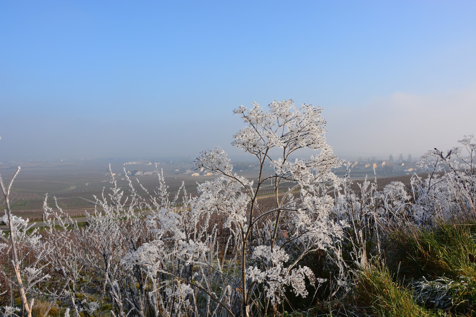 BENEDICTE COIFFURE MIXTE: paysages sous le givre