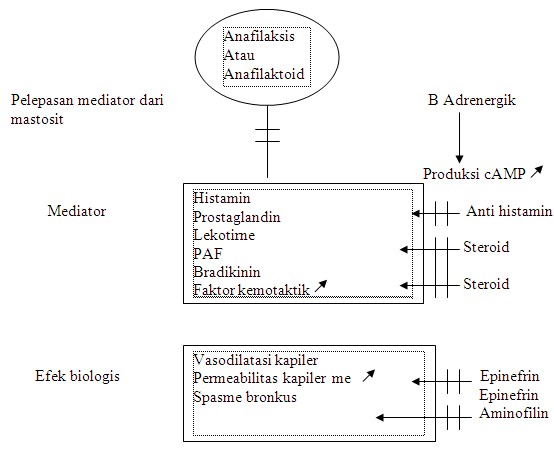 Anestesi Ivan Atjeh: Patofisiologi dan Penatalaksanaan Syok Anafilaktik
