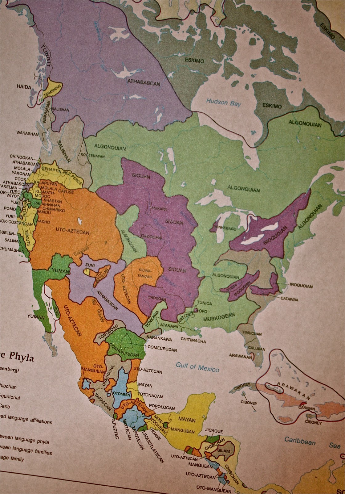 In Xinachtli, In Milpa: 2018