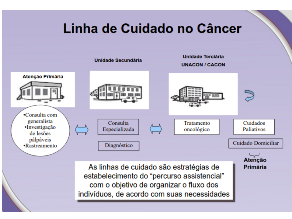 Viva Monitoria Linhas De Cuidado Controle Do Câncer De Colo Do Útero
