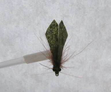 A Creative Fly Tying Blog.: My Caddis Dry Fly.