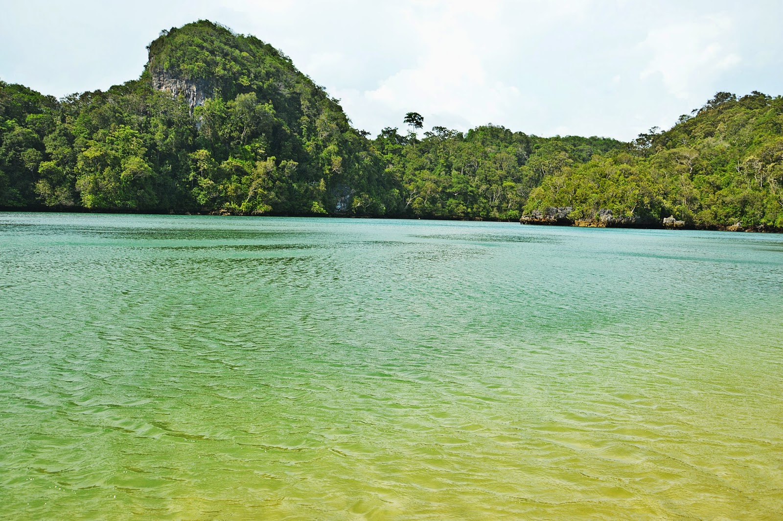 Fatkhi Aldiansyah: SEMPU,Laguna Segara Anakan yang Menawan