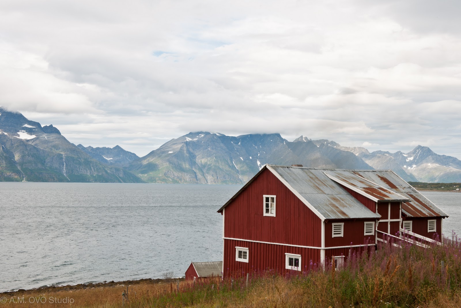 The Spotting Eye: Rural Scandinavia: Djupvik, Kåfjord Commun, Troms ...