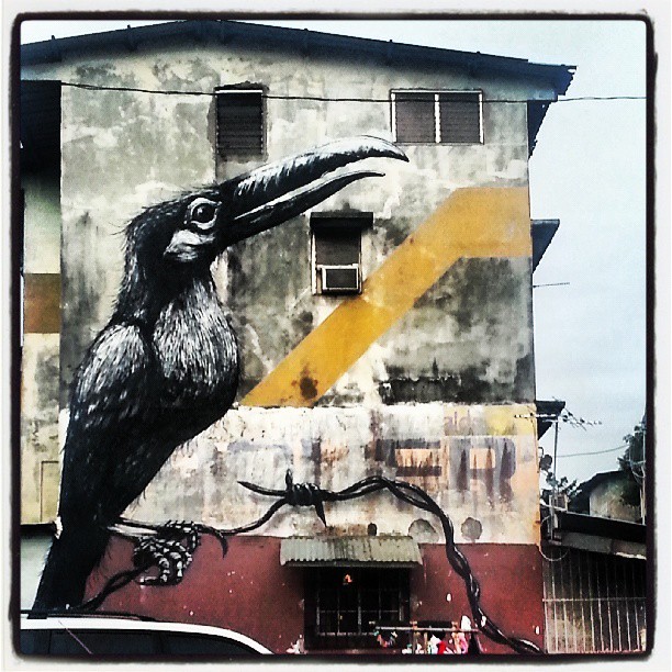 Streets Panamá : Roa: Artista Sin Rostro