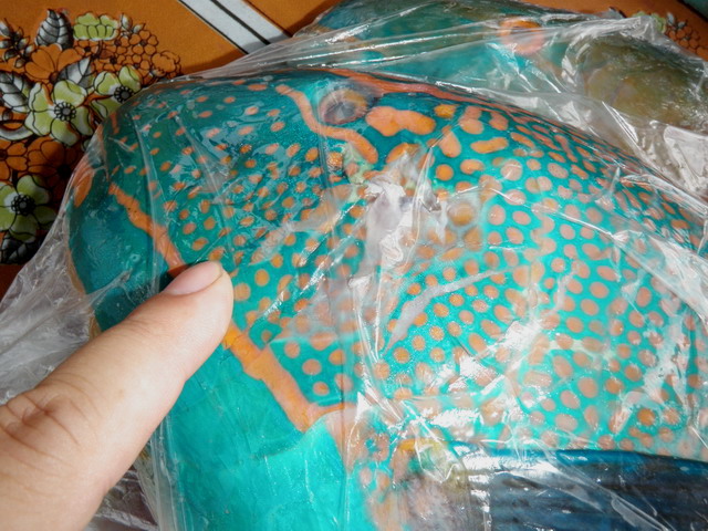 My Coral Adventures: Tonga fish market!