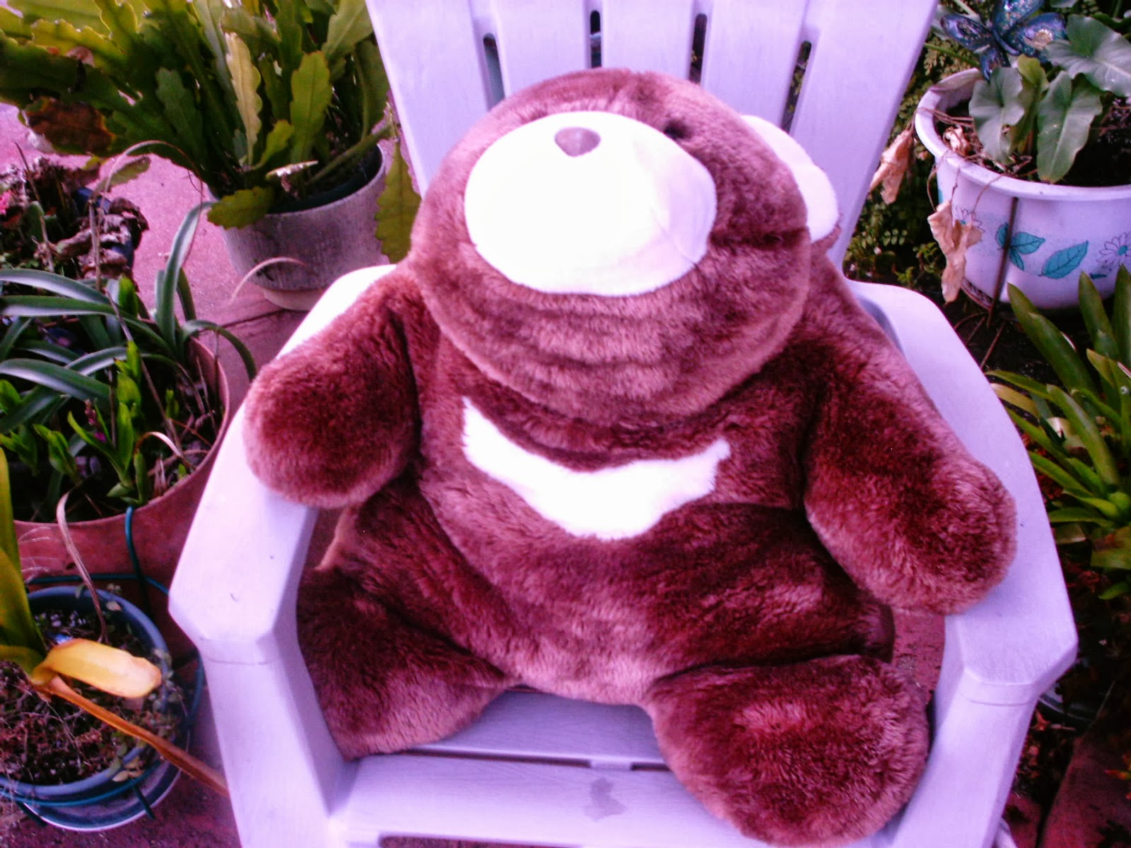 Snuffles Bear by Gund Collector's Blog: Big 30 inch brown snuffles