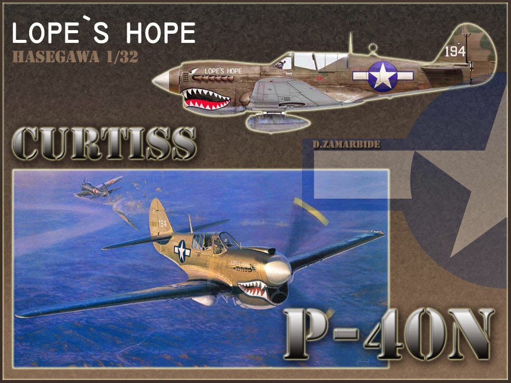 My last two jobs... P-40 & Raiden - HyperScale Forums