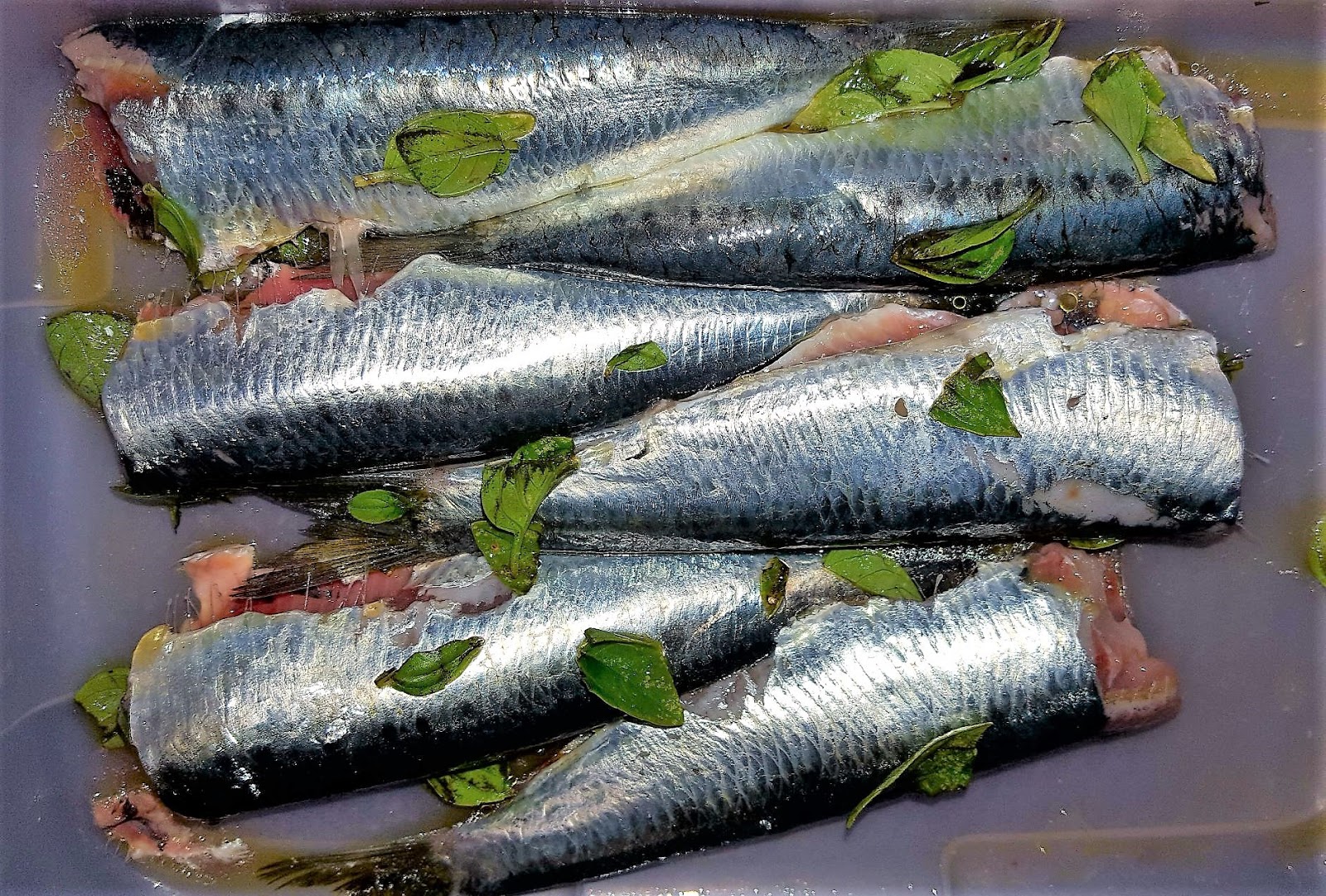 SARDINES MARINEES AU BASILIC A LA PLANCHA