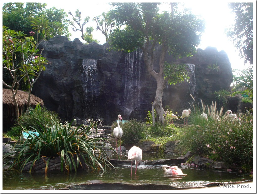 Maharani Zoo & Goa menjadi objek wisata Lamongan terbaru - Travel