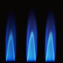 Science E-portfolio: Contempary Science Research