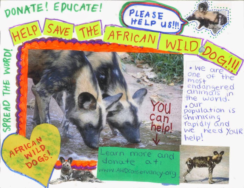 ZooCrew projects highlight African conservation