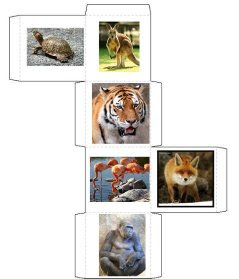 Kreative Resources: Identifying animals with the roll of the dice!